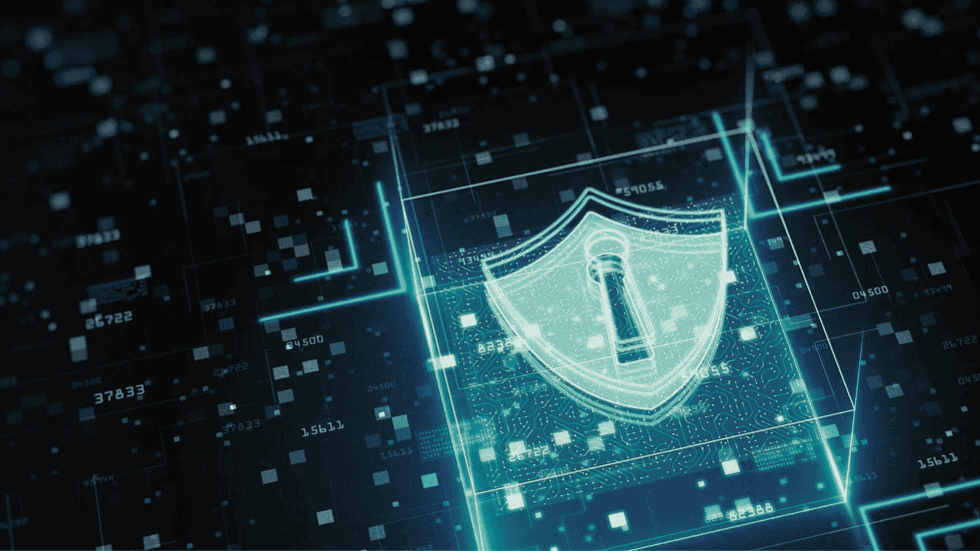 Cyber Insurance Trends for 2024: What SMBs Should Know and Prepare For